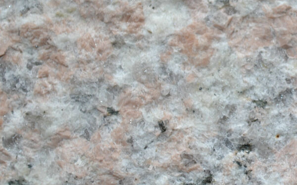 Conch Rosa – BBS Natural Stone Specialists